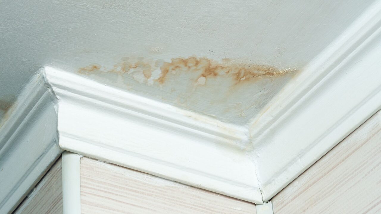 Ceiling Leak? How to find it and what to do about it!